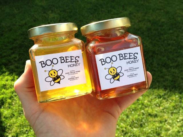 Boo Bees Honey Jar Labels Customer Ideas OnlineLabels