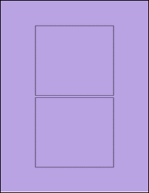 True Purple - OL2546 - 4.5" x 4"