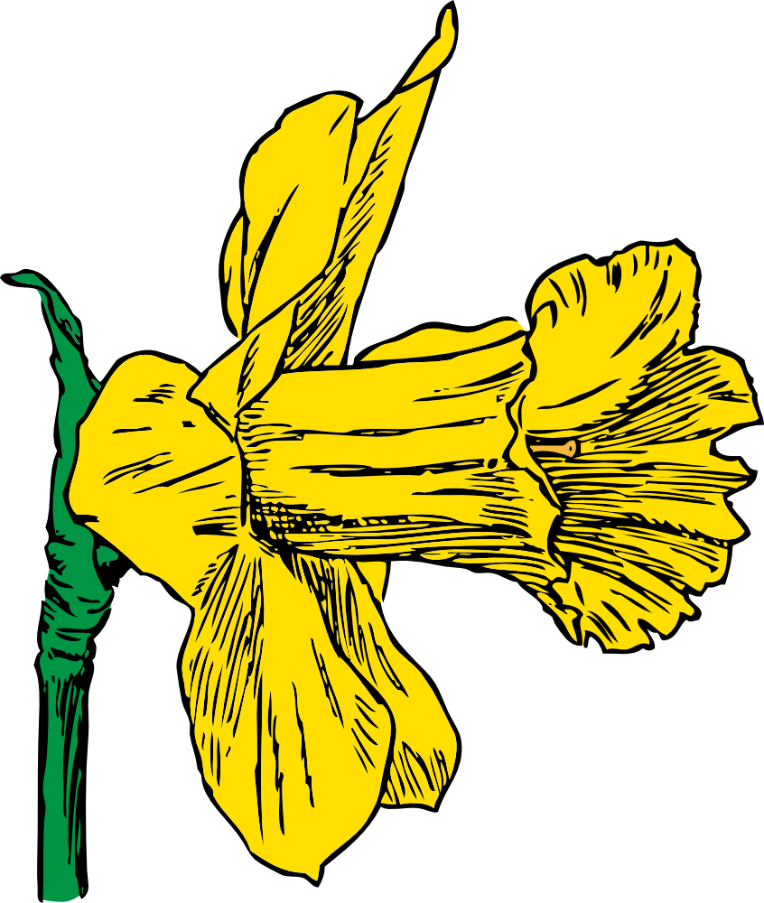 OnlineLabels Clip Art - Daffodil