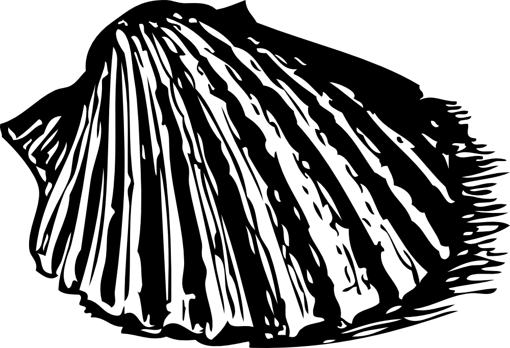 OnlineLabels Clip Art - Scallop Shell